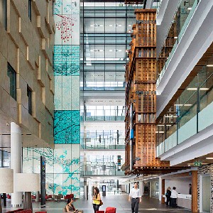 Gold Coast University Hospital by Aurecon and Jacobs wins big at ...