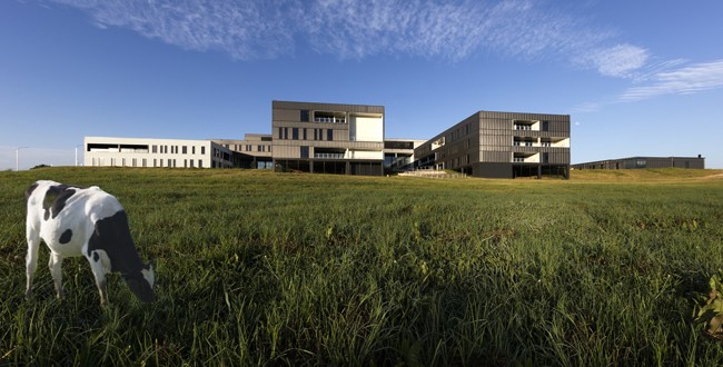 Gouda vibrations: BVN’s Bega hospital uses nature’s power as a healing ...
