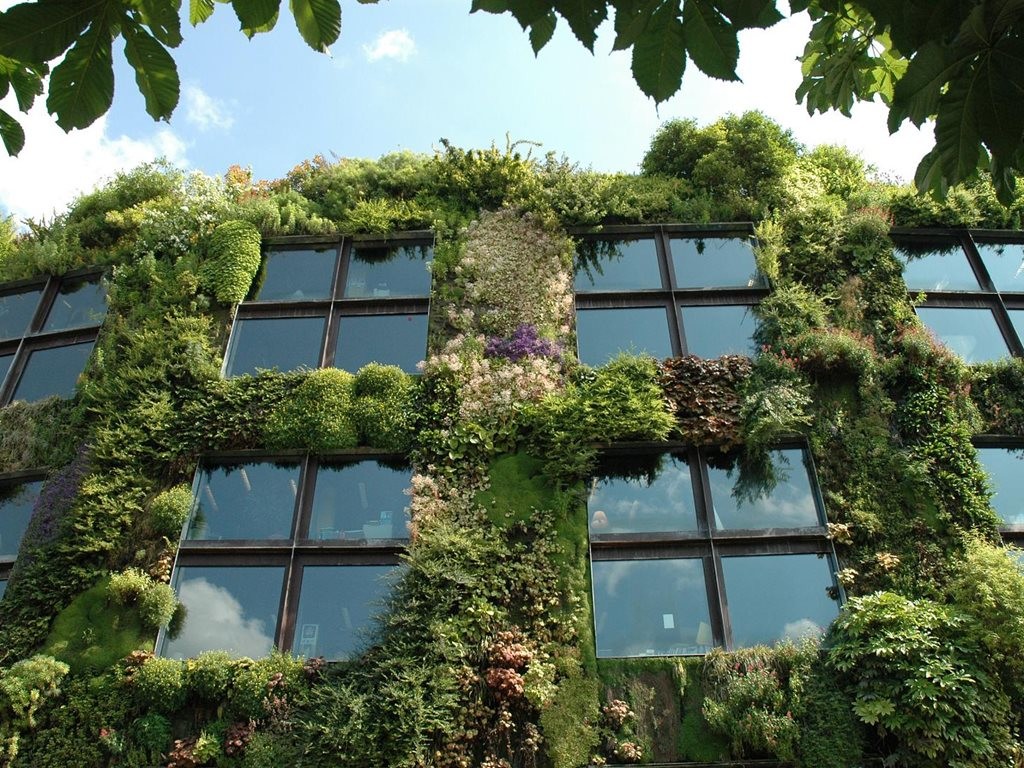Sustainable properties sell faster than conventional properties ...