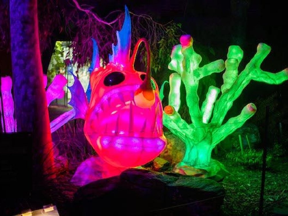Adelaide Zoo Light Creatures made with Foamex’s EPE foam create a buzz ...