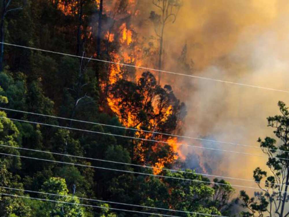 Bushfire safe windows and doors | Architecture & Design
