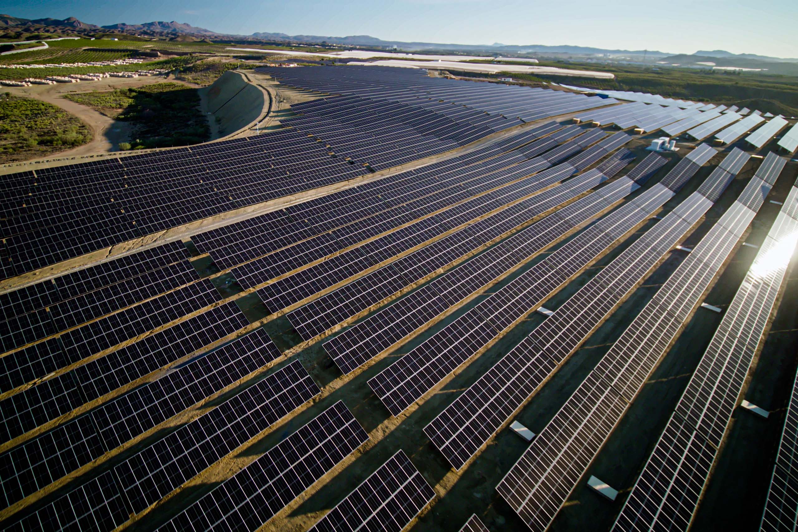 From Carbon To Carbon Neutrality: Dekton® By Cosentino Leads The Way In ...