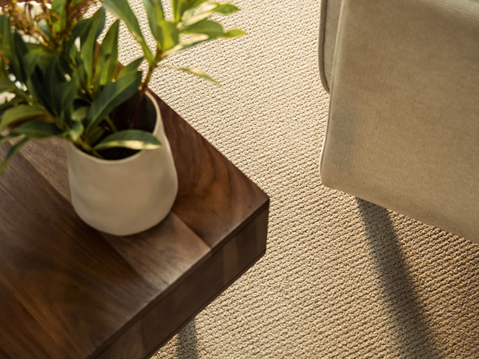 Step into comfort: Why carpet is the ultimate flooring solution ...