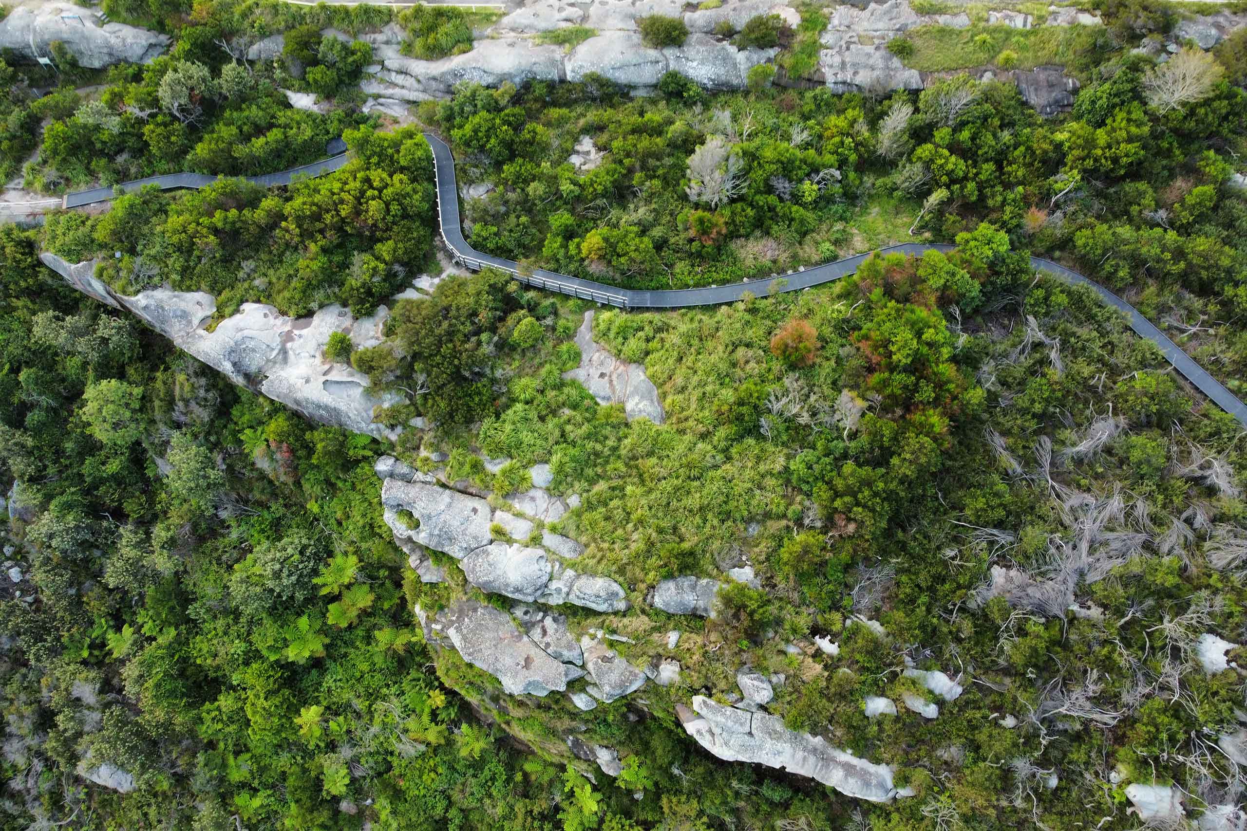 Case study: Dobroyd Head walking track | Architecture & Design