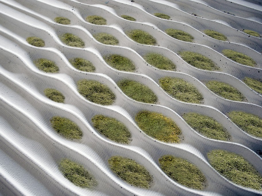 An ode to bio-receptive concrete | Architecture & Design