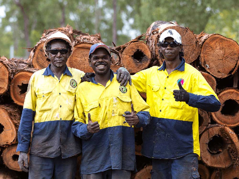 From Indigenous sawmill to bushfire safe windows | Architecture & Design