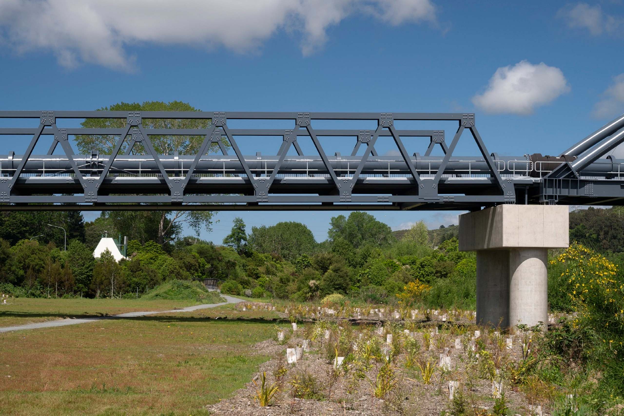 Moddex customises Bridgerail and Tuffrail systems for Wellington Water ...