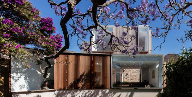 Jac is a Federation-era home extension done for the love of a tree ...