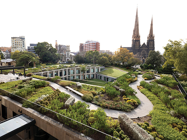 Sustainability Summit Panel #6: The evolution and adaptation of green ...
