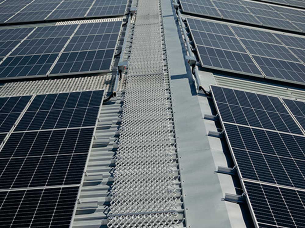 SAYFA creates a pathway to a better world with a sustainability and ...