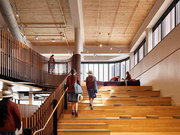 Mass Timber: CLT By XLam | Architecture & Design