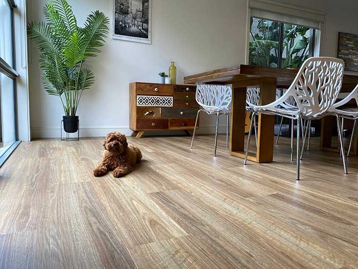 Loose Lay Longboard | Architecture & Design