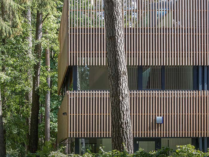 A Sustainable Alternative | Architecture & Design