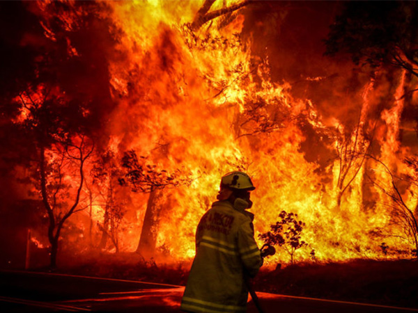 AIA calls for bushfire-proof arrangements | Architecture & Design