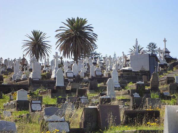Visions of future cemeteries: 5 models and how Australians feel about ...