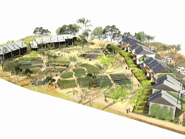 New houses that improve the surrounding biodiversity | Architecture ...