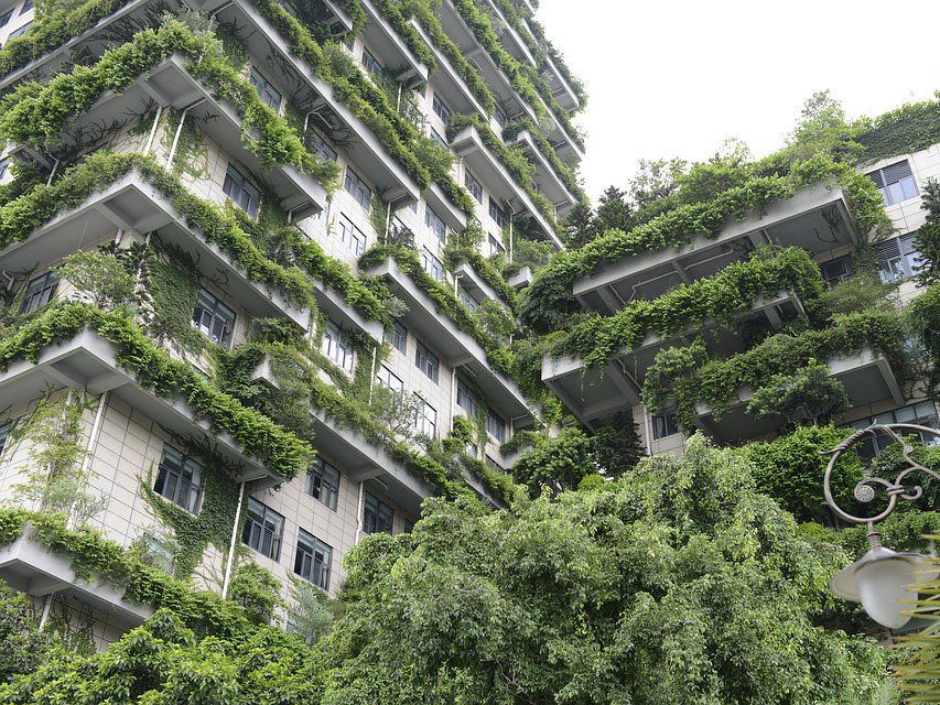 Australian cities are lagging behind in greening up their buildings ...