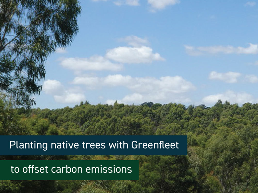 Greenfleet partnership to enable 100% carbon offset of AWS fleet’s ...