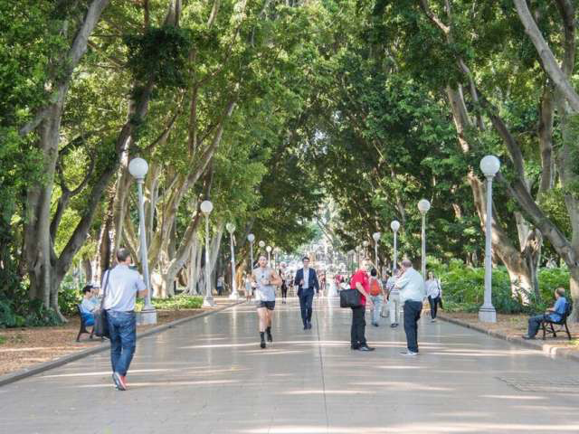 Increasing tree cover may be like a 'superfood' for community mental ...