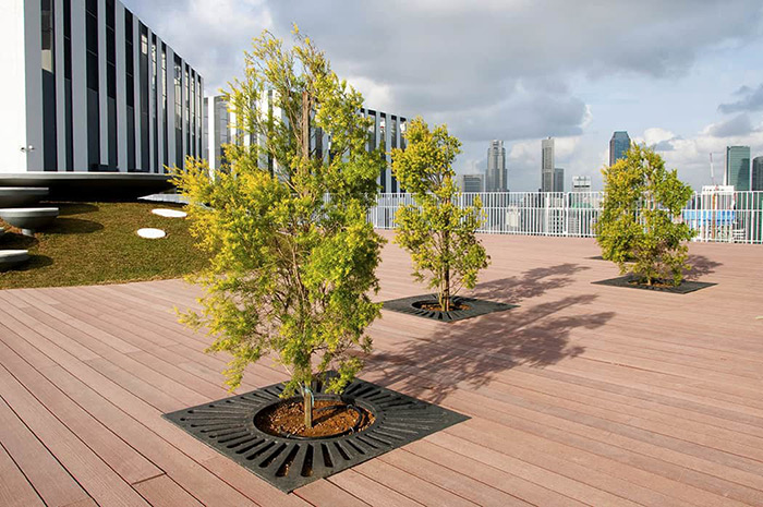 Your complete guide to tree grates for urban landscapes | Architecture ...