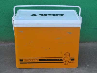 The story of the Esky and how it connects to Foamex insulation ...