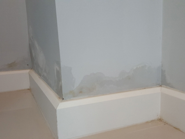 Rising Damp Solutions Australia - Best Treatments to Fix it for Good ...
